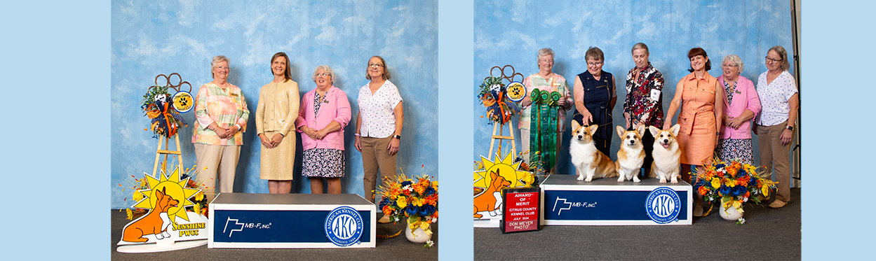 Sunshine PWCC - Sunshine Pembroke Welsh Corgi Club